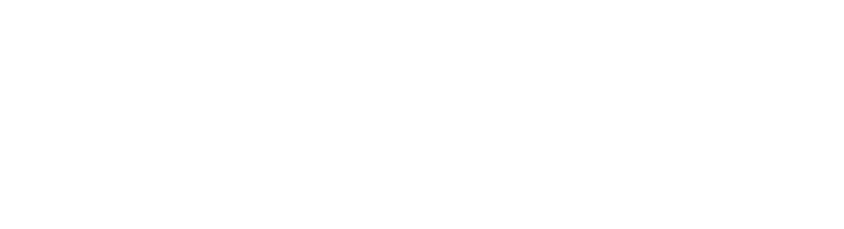 Zionic | Máquina con Radiofrecuencia para Remodelación Corporal